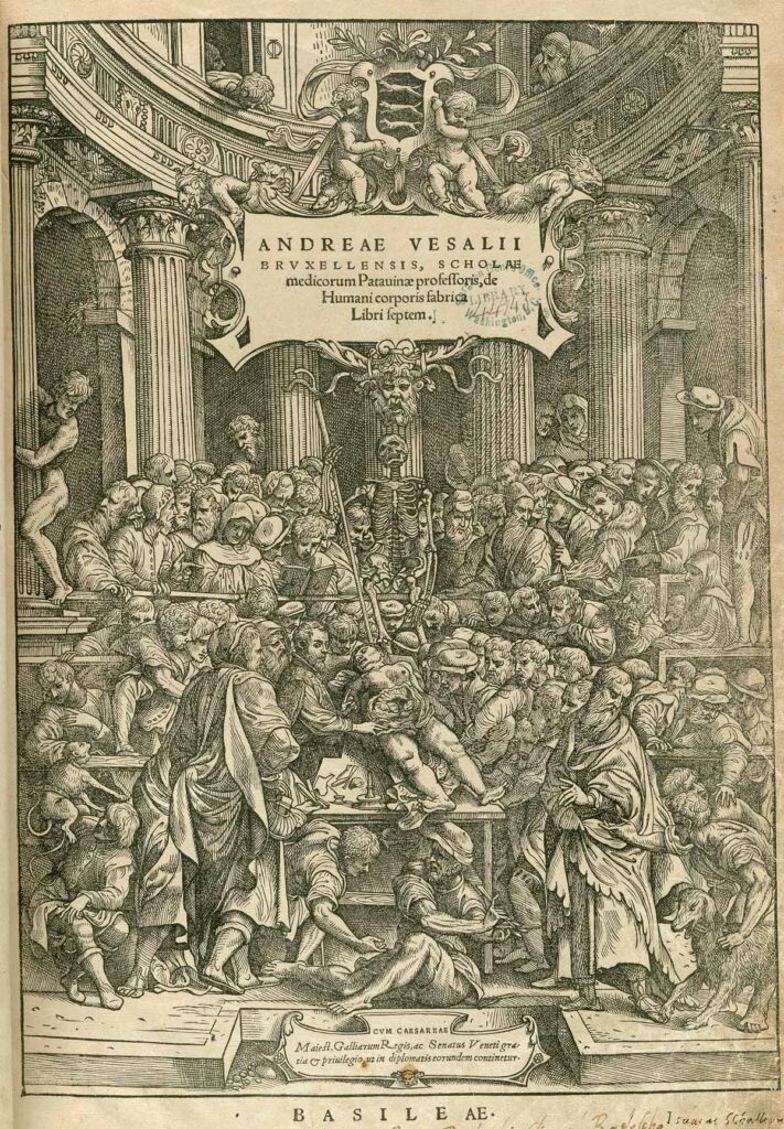 Andreas Vesalius died on 2 October 1564 at age 49. – Italian Art Society
