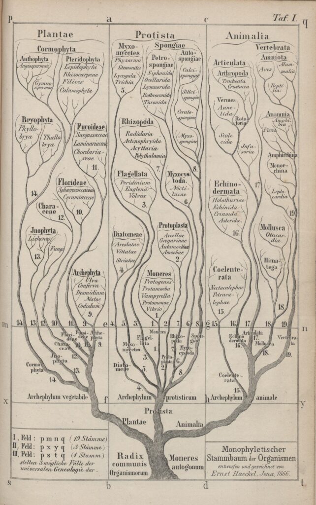 On 20 August 1858 Charles Darwin first published his theory of ...
